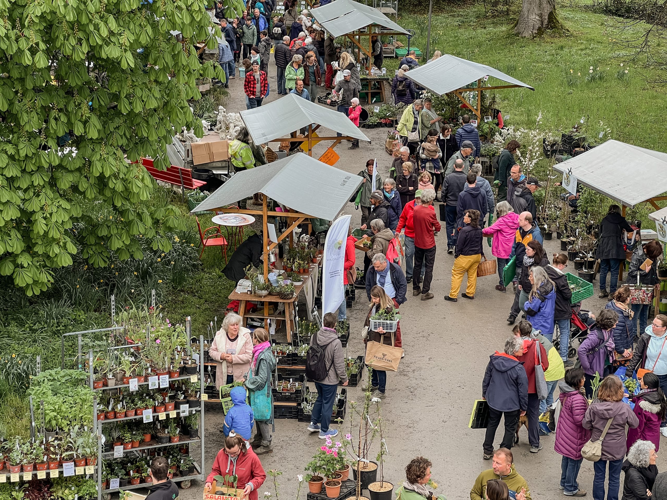 Setzlingsmarkt 2024 auf Schloss Wartegg - Schloss Wartegg